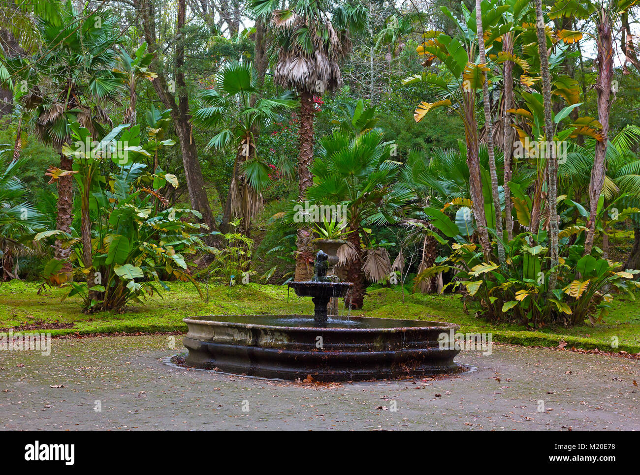 An old fountain in the park surrounded by tropical park in autumn ...