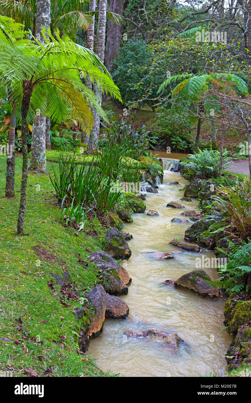 A water stream from hot volcanic spring in the park, Azores, Portugal ...