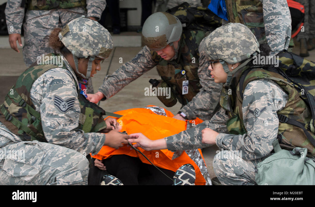 A simulated patient is treated during a joint field training exercise ...