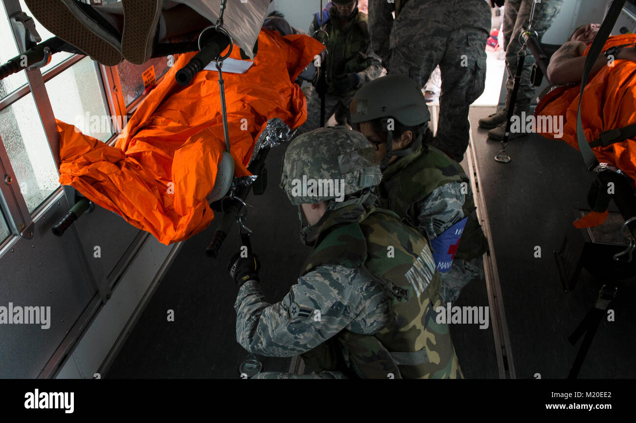 A simulated patient is loaded for transportation during a joint field ...