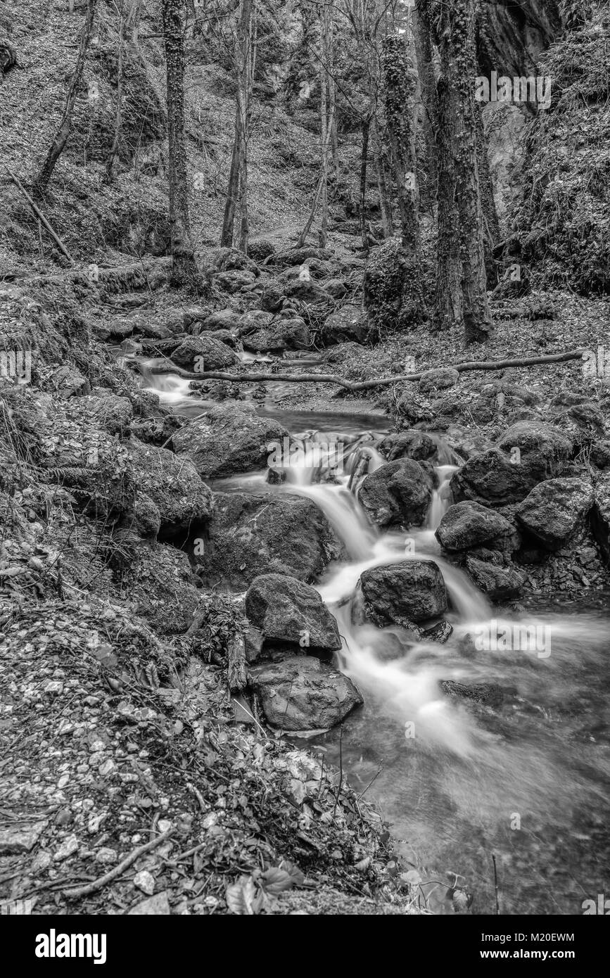 White path moss hi-res stock photography and images - Alamy