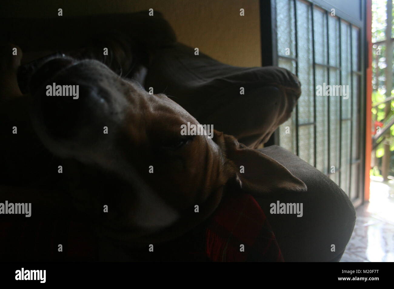 Upsidedown hi-res stock photography and images - Alamy