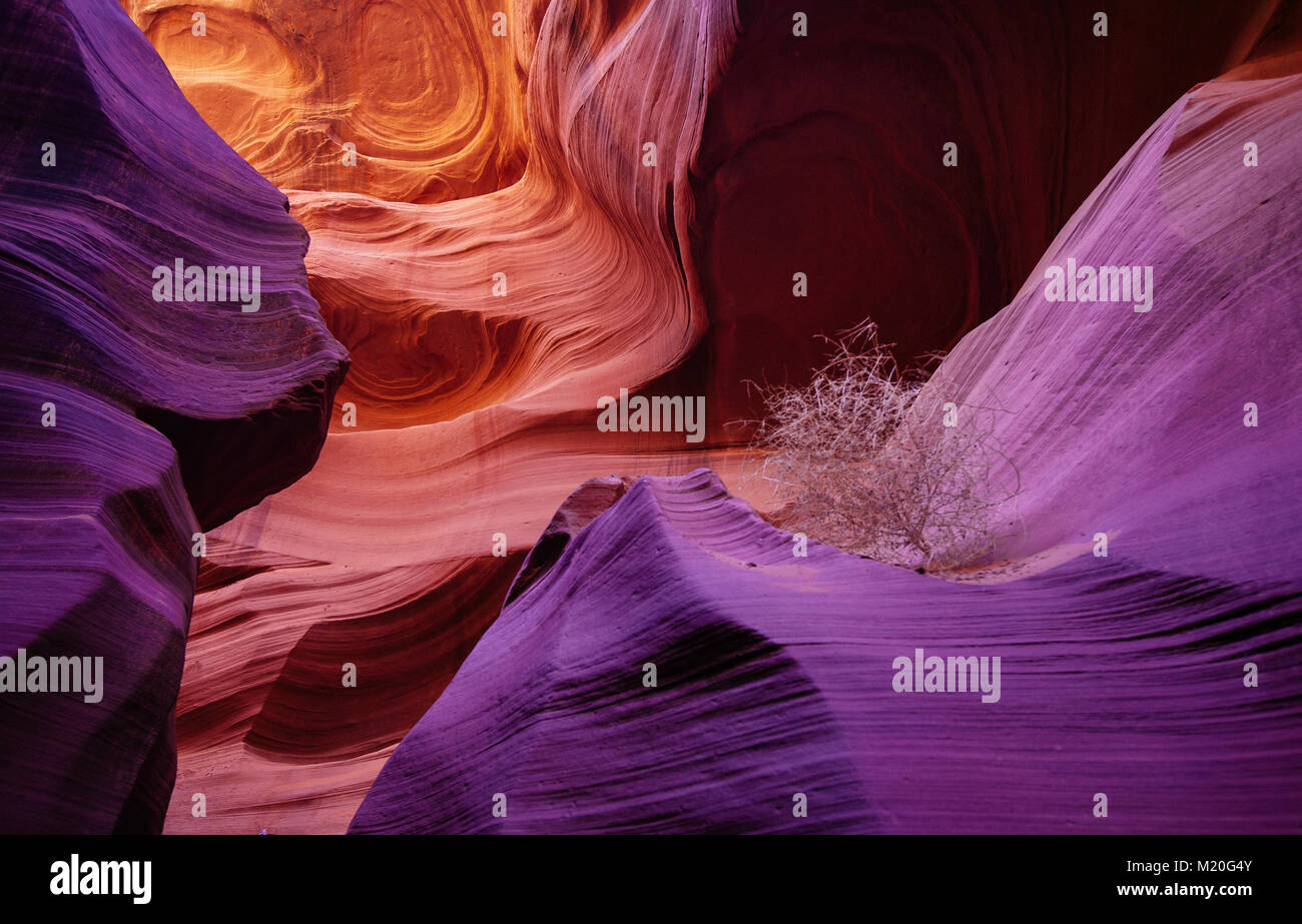 An Intimate Scene at Antelope Canyon (tumbleweed Stock Photo - Alamy