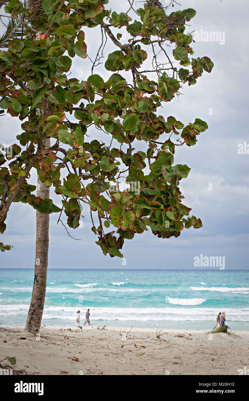 Varadero white sand beach, Cuba Stock Photo - Alamy