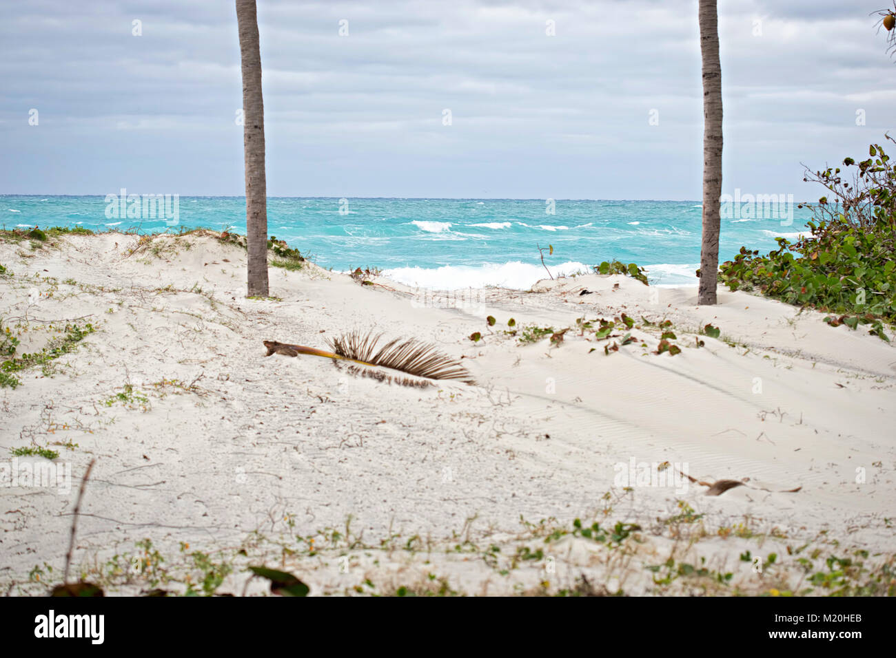 Varadero white sand beach, Cuba Stock Photo - Alamy