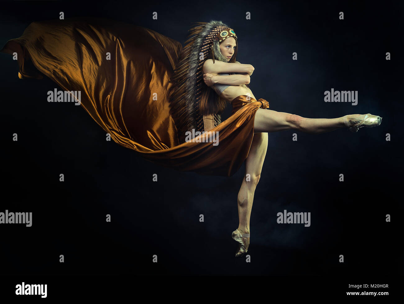 Fashion, beautiful american indian woman with big plume of brown ...