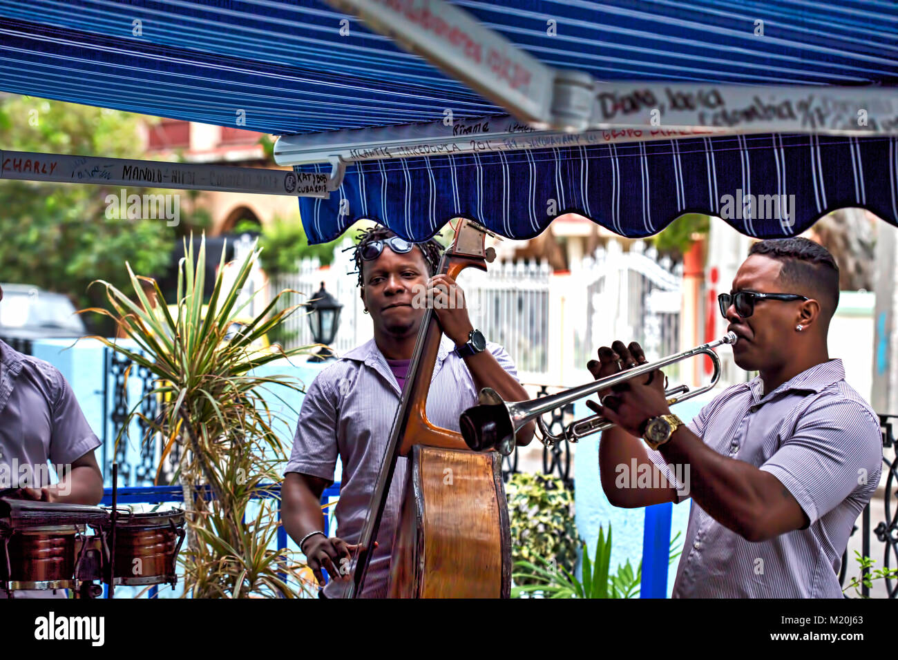 Cuban musicians playing live music, Varadero cafe, Cuba Stock Photo - Alamy