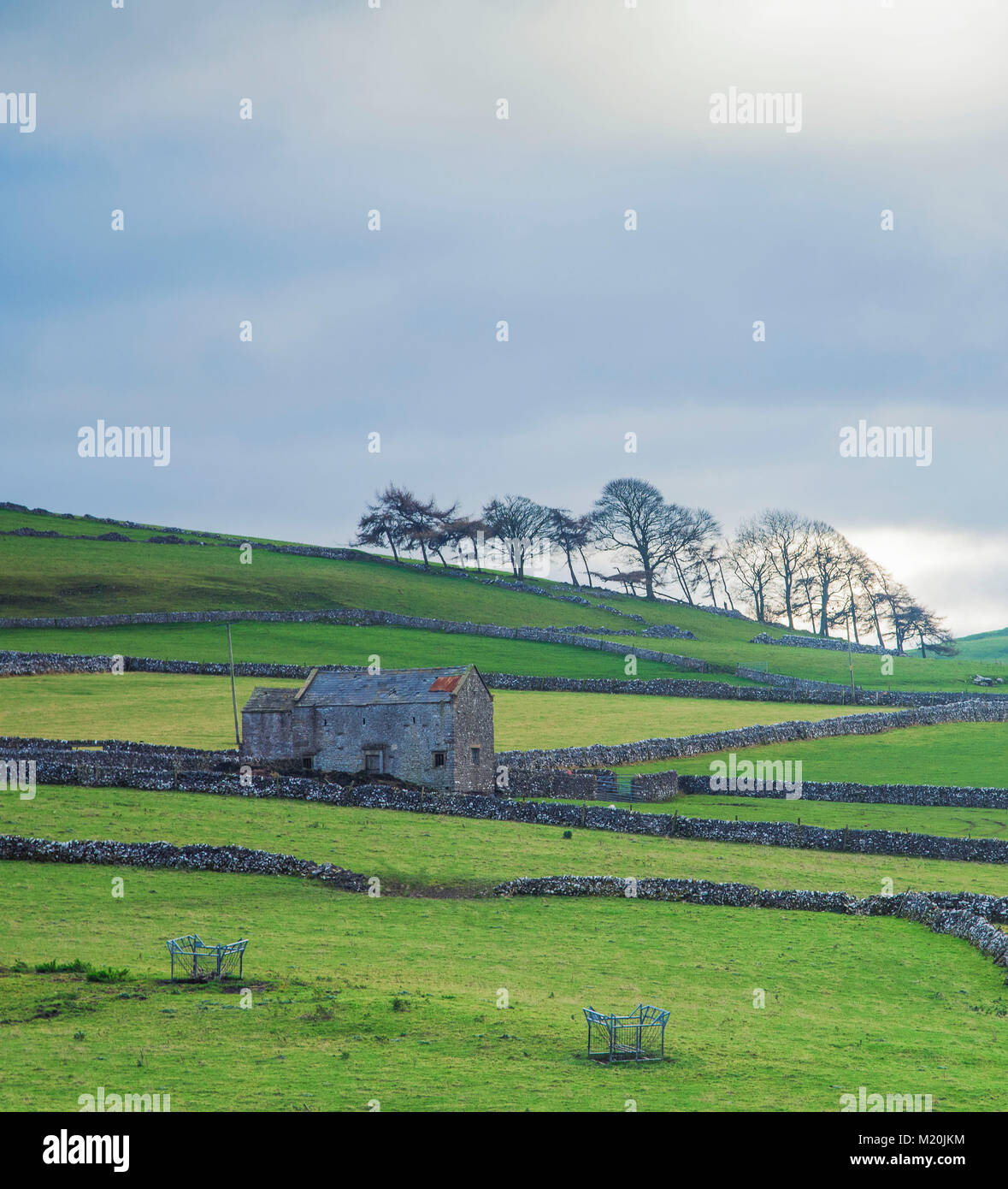 Limestone walls dividing fields in the Derbyshire peak district England ...