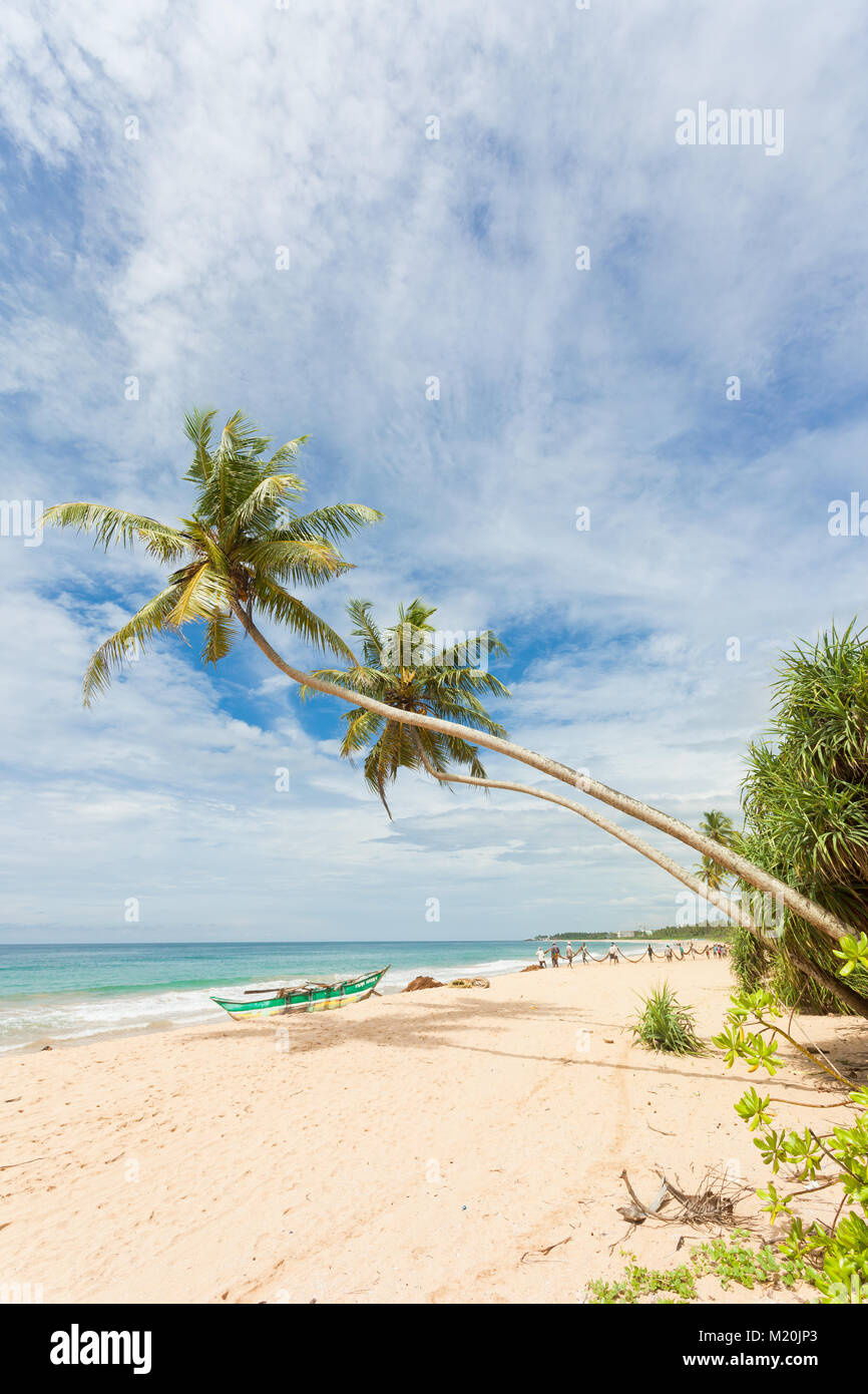 Balapitiya, Sri Lanka, Asia - Enjoying the beautiful landscape at the ...