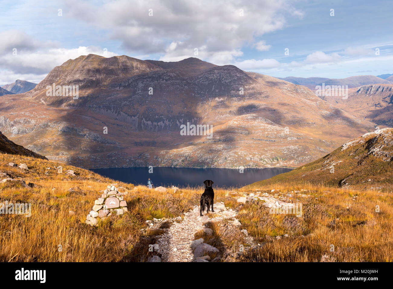 Highlands nature hi-res stock photography and images - Alamy