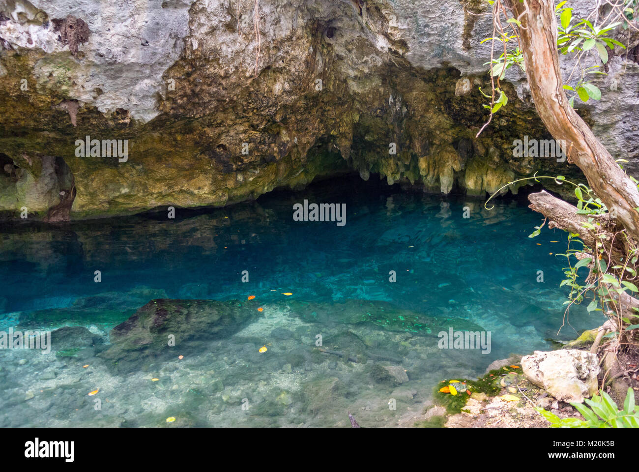 Yucatan cenote hi-res stock photography and images - Alamy