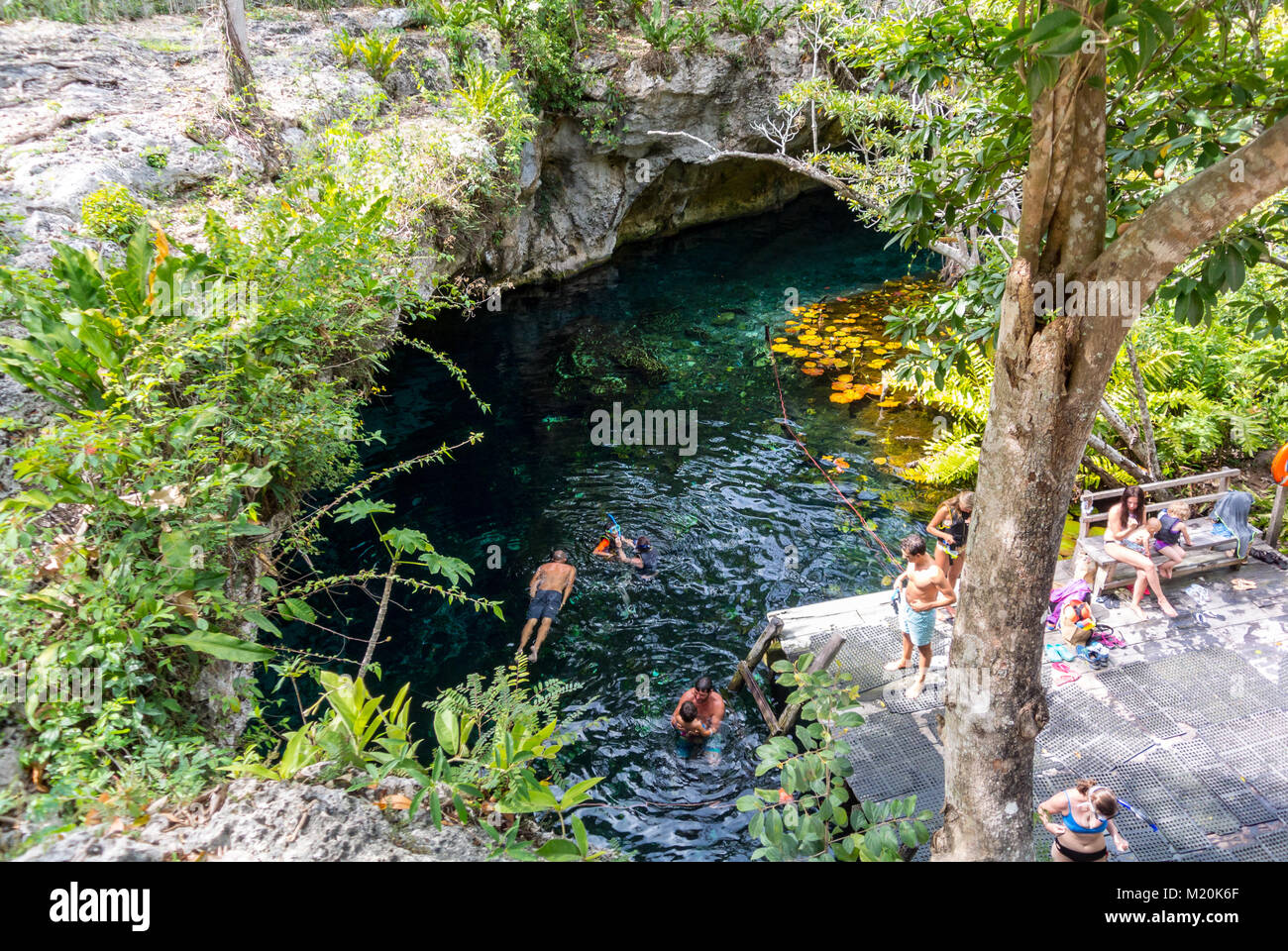 Tulum, Quintana Roo, Mexico, Tourists swimming in Sacred Cenote in ...