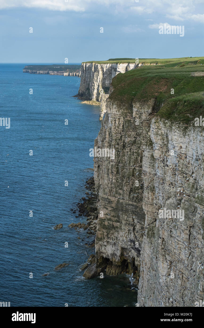 Cliffside cliff side cliff side habitat hi-res stock photography and ...