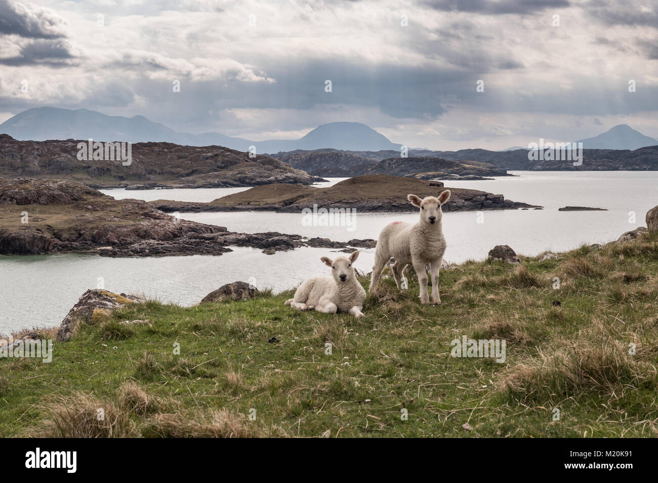 Polin beach hi-res stock photography and images - Alamy