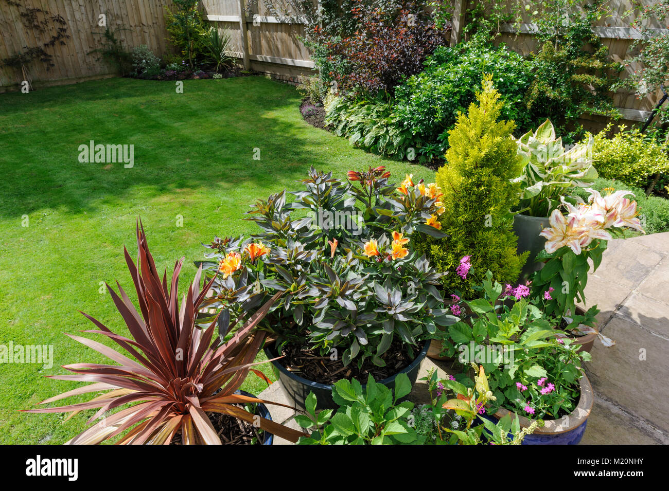 Potted garden plants hi-res stock photography and images - Alamy