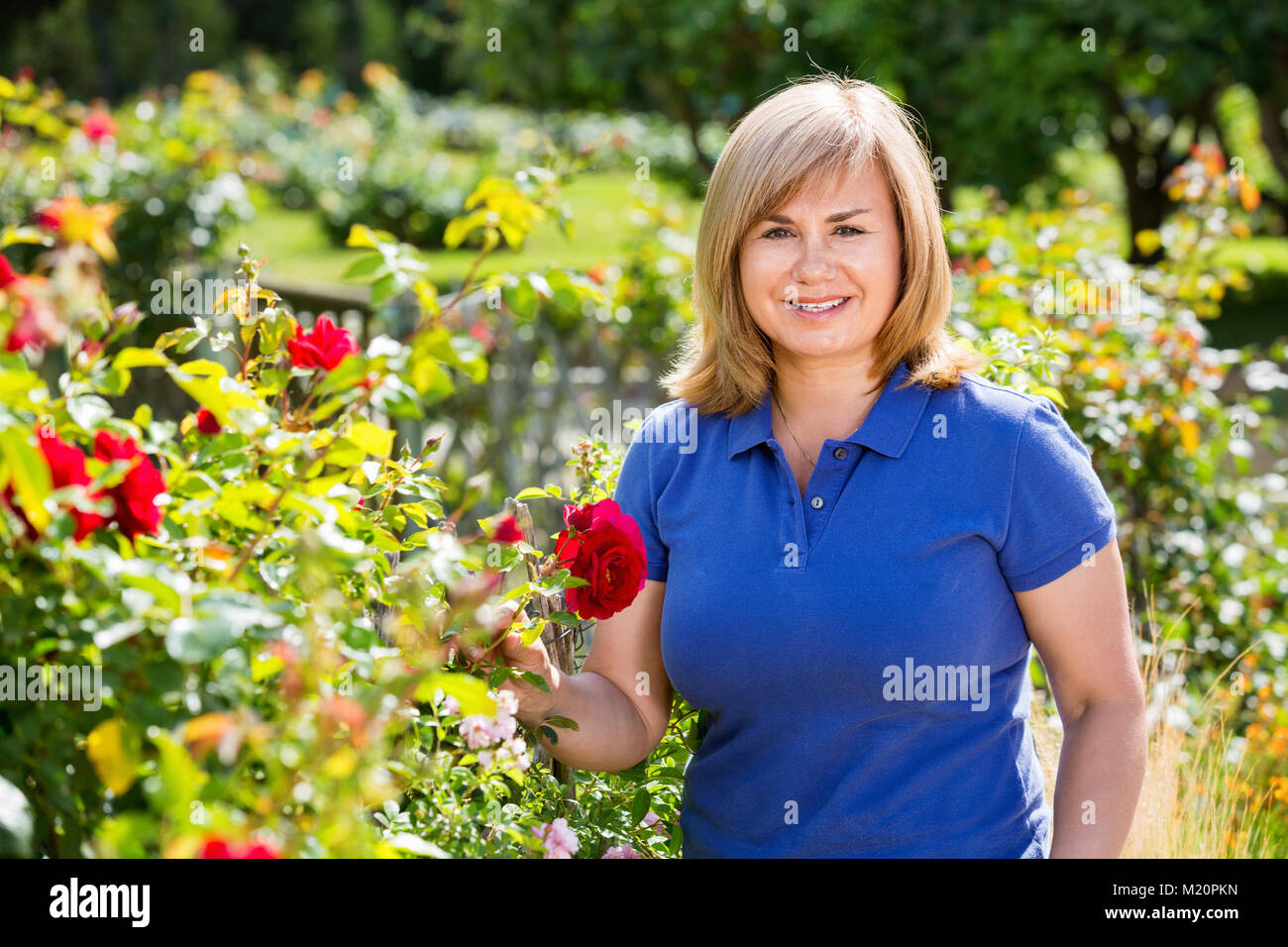 Smiling happy charming blond mature woman gardening red roses and ...