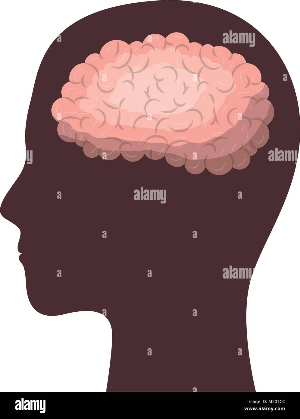 human face brown silhouette with brain inside in colorful silhouette ...