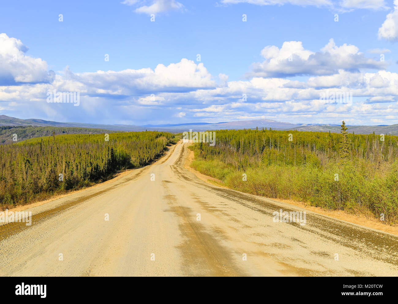 The Dalton Highway between Yukon River and Fairbanks in Alaska Stock ...