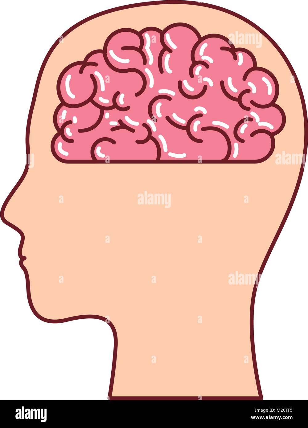 human face silhouette with brain inside in colorful silhouette with ...