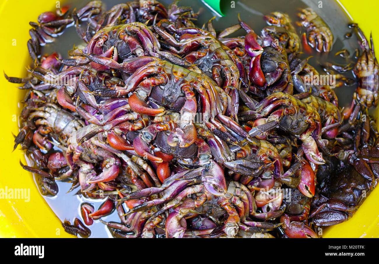 Fermented crab with chilli and garlic at local market in Southern ...