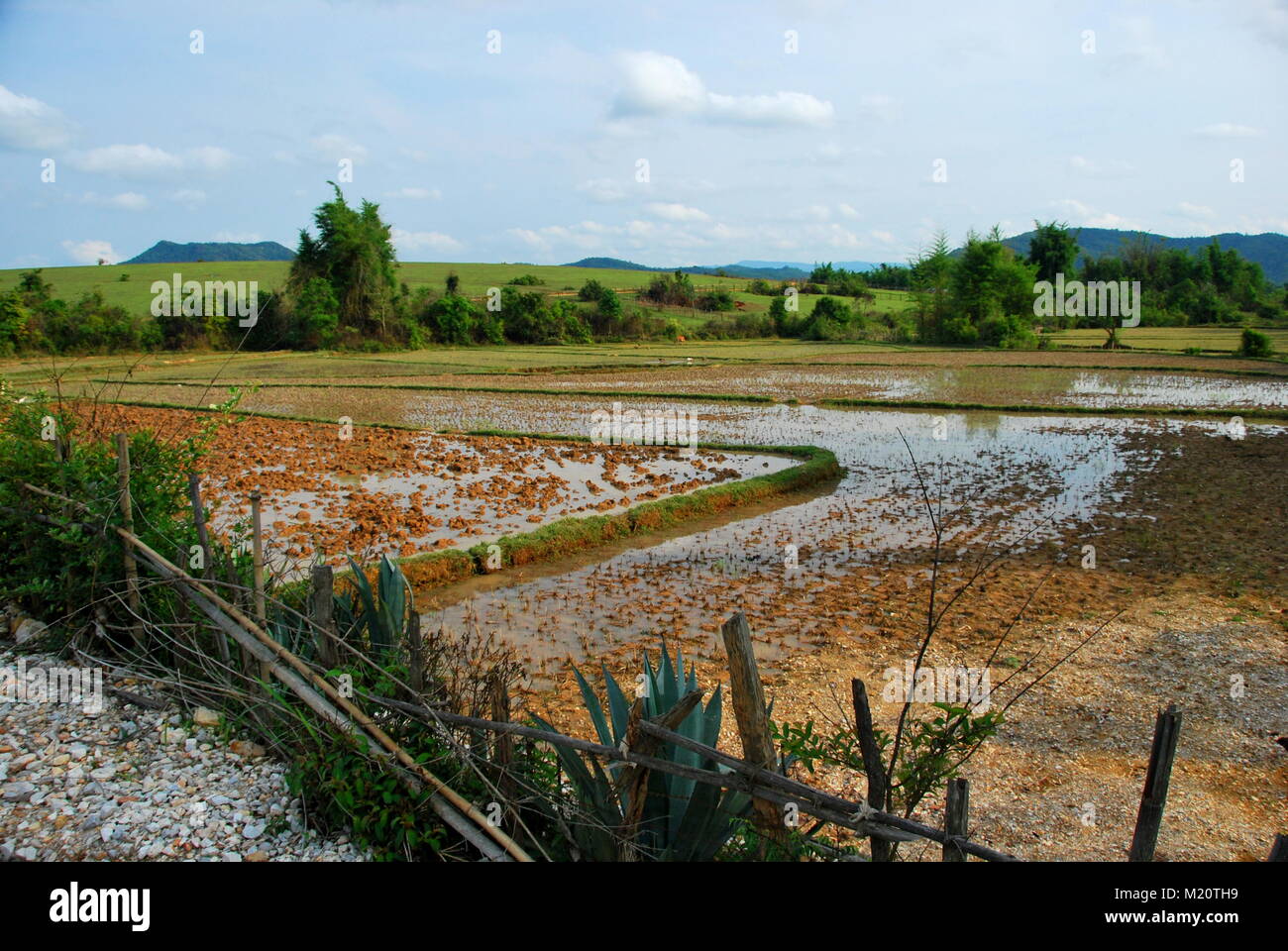 Rice paddy fields near the Plain of Jars archaeological site. The ...