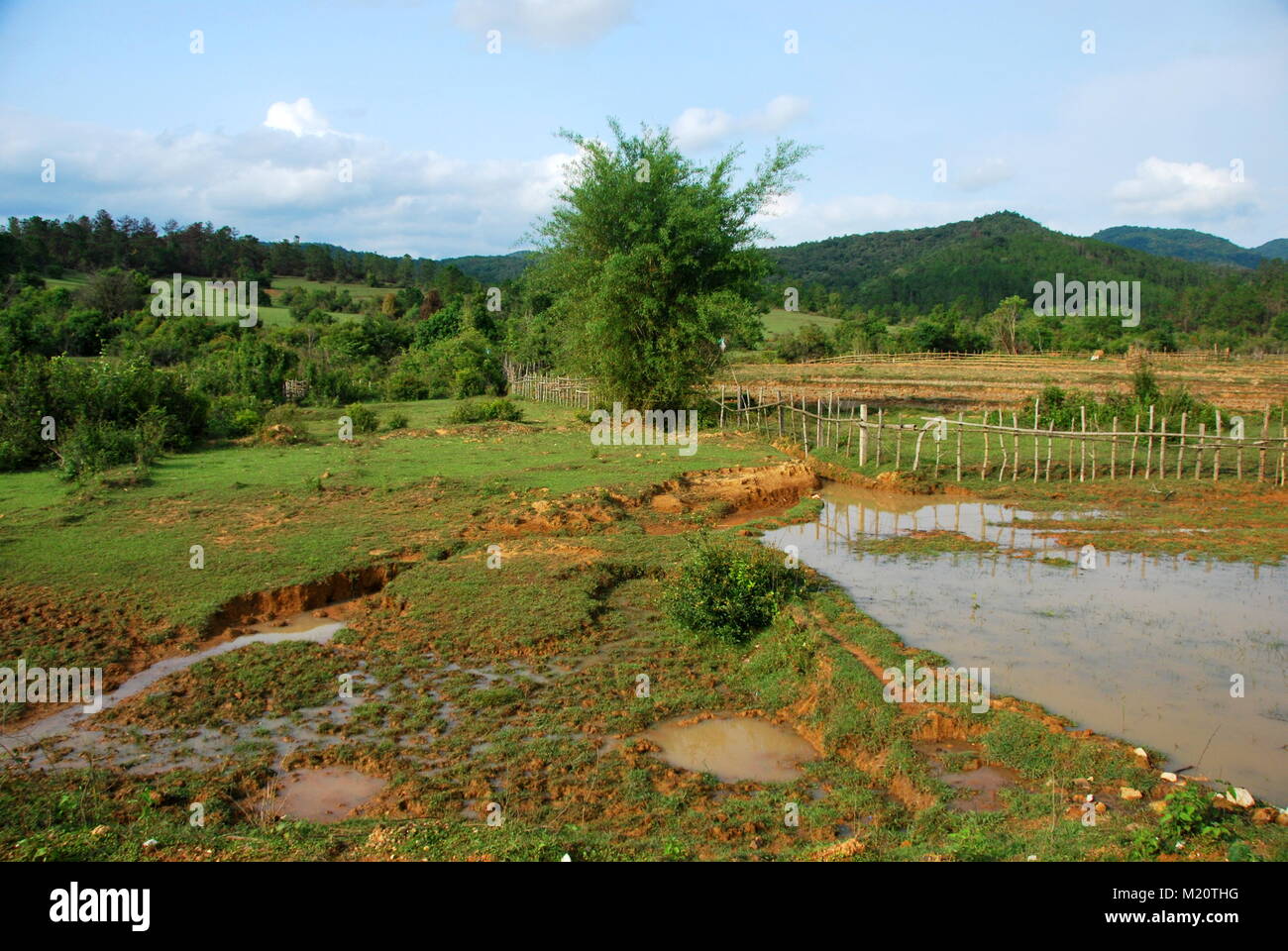 Rice paddy fields near the Plain of Jars archaeological site. The ...