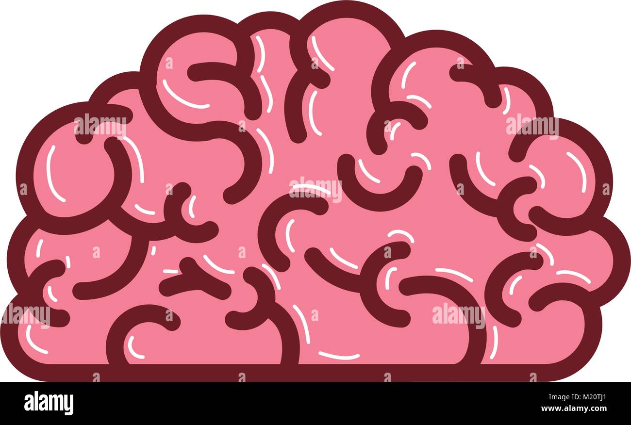 brain side view in colorful silhouette with thick brown contour Stock ...