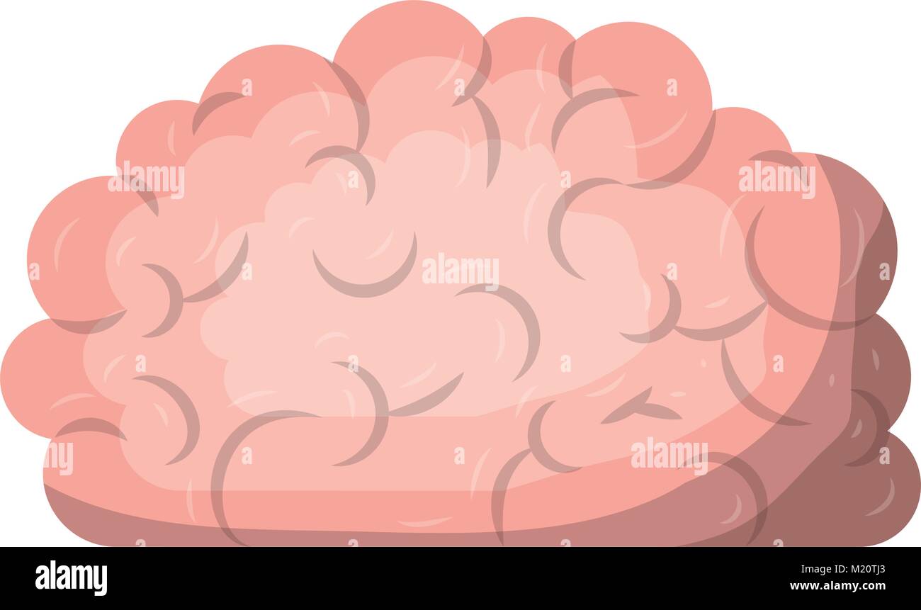 Anatomy human brain side view Stock Vector Images - Alamy