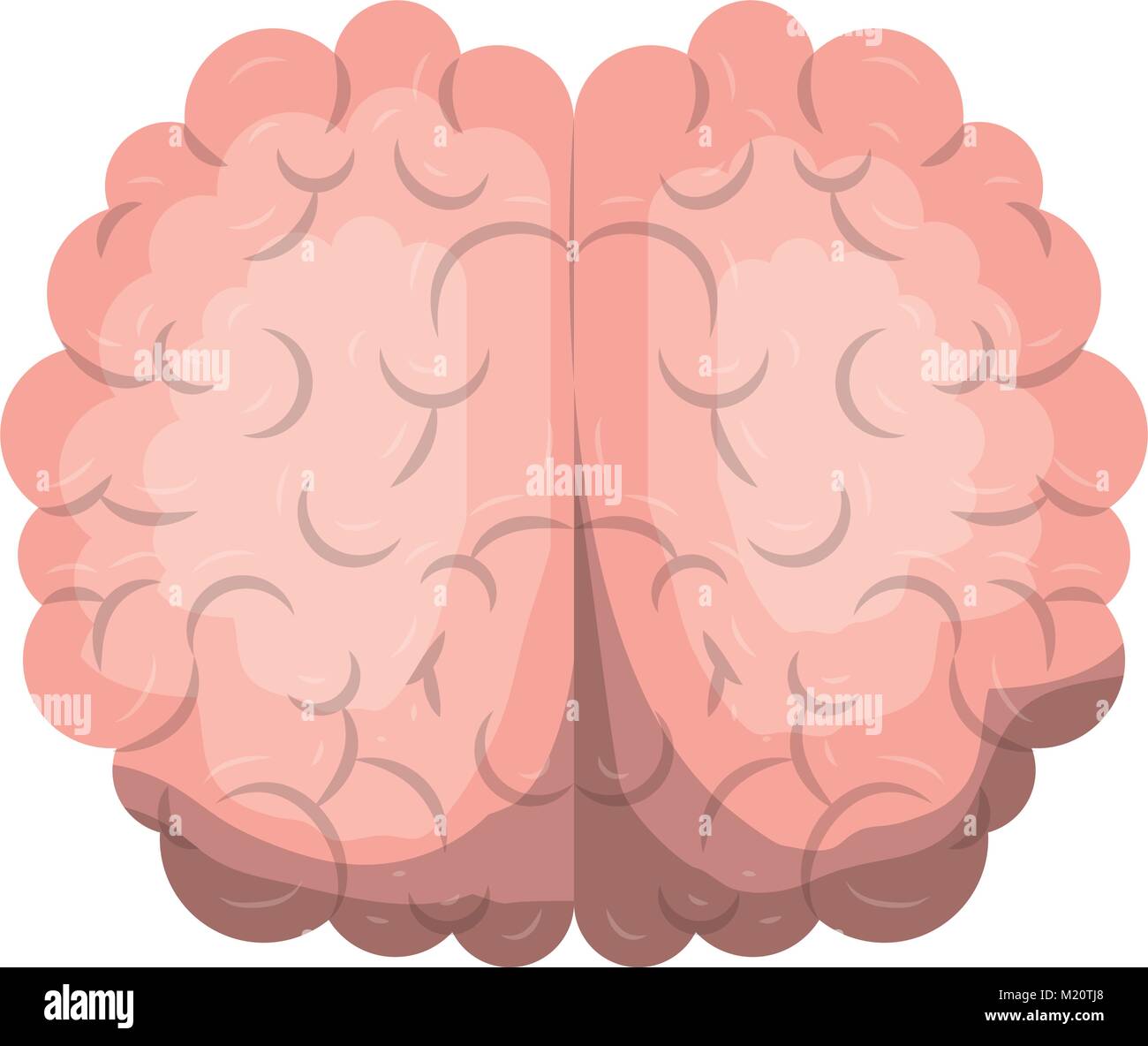 brain top view in realistic colorful silhouette Stock Vector Image ...