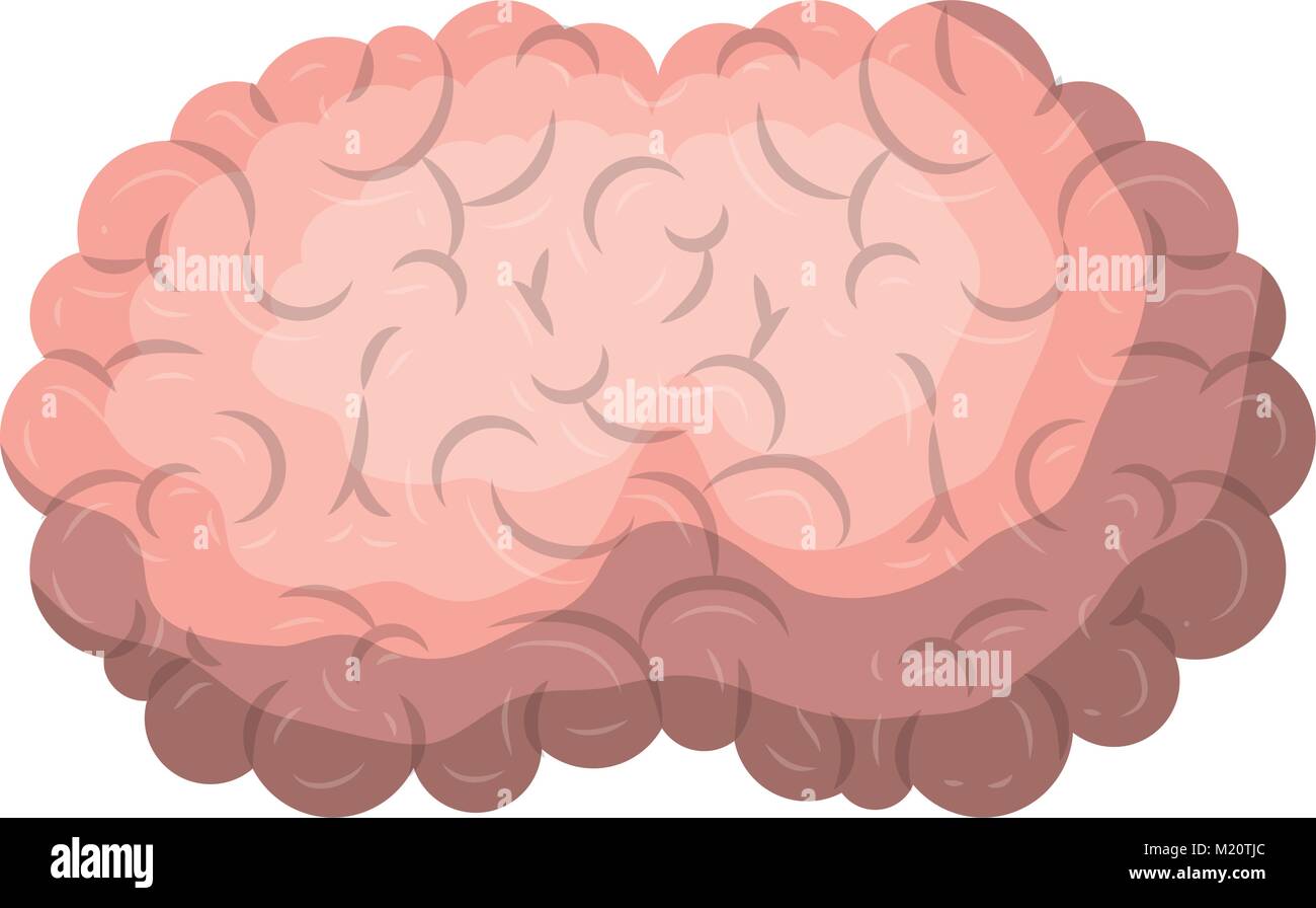 brain side view in realistic colorful silhouette Stock Vector Image ...