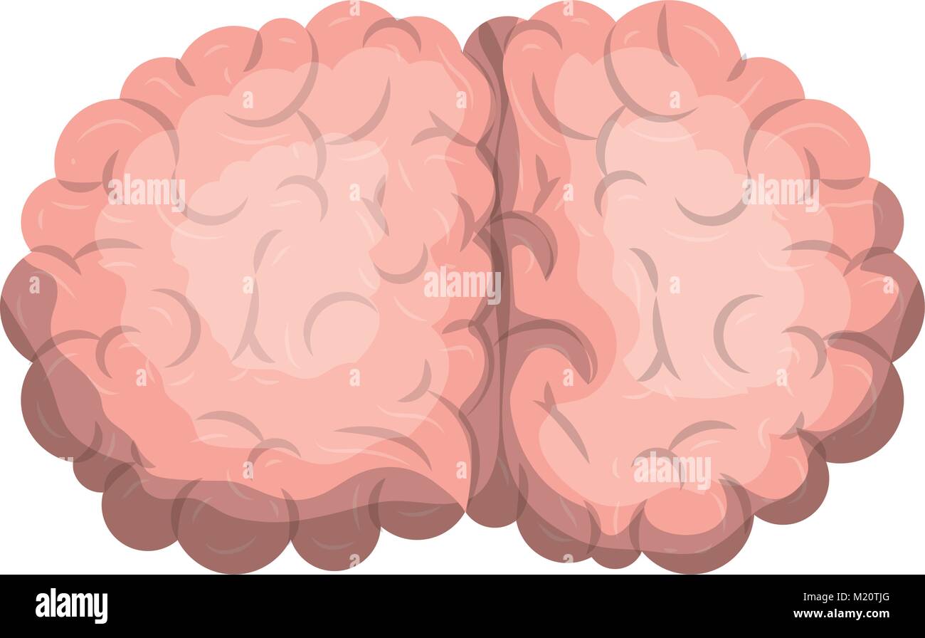 Side view realistic colorful Stock Vector Images - Alamy