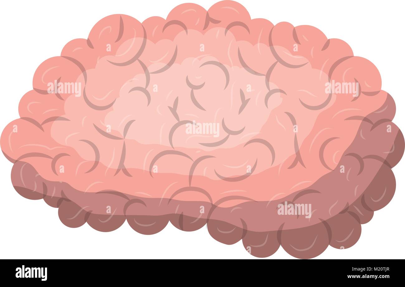 brain side view in realistic colorful silhouette Stock Vector Image ...
