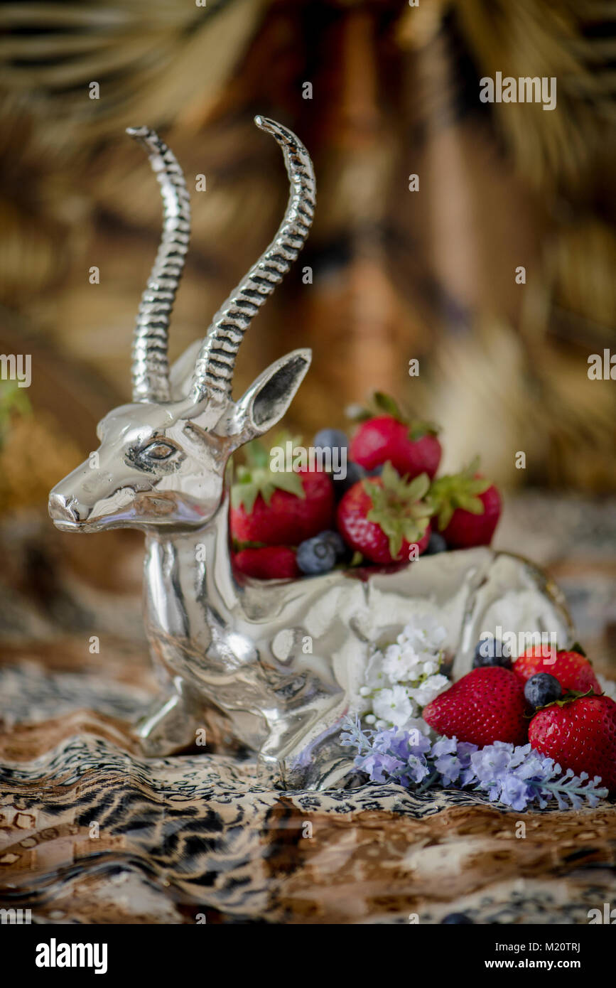 African berries hi-res stock photography and images - Alamy