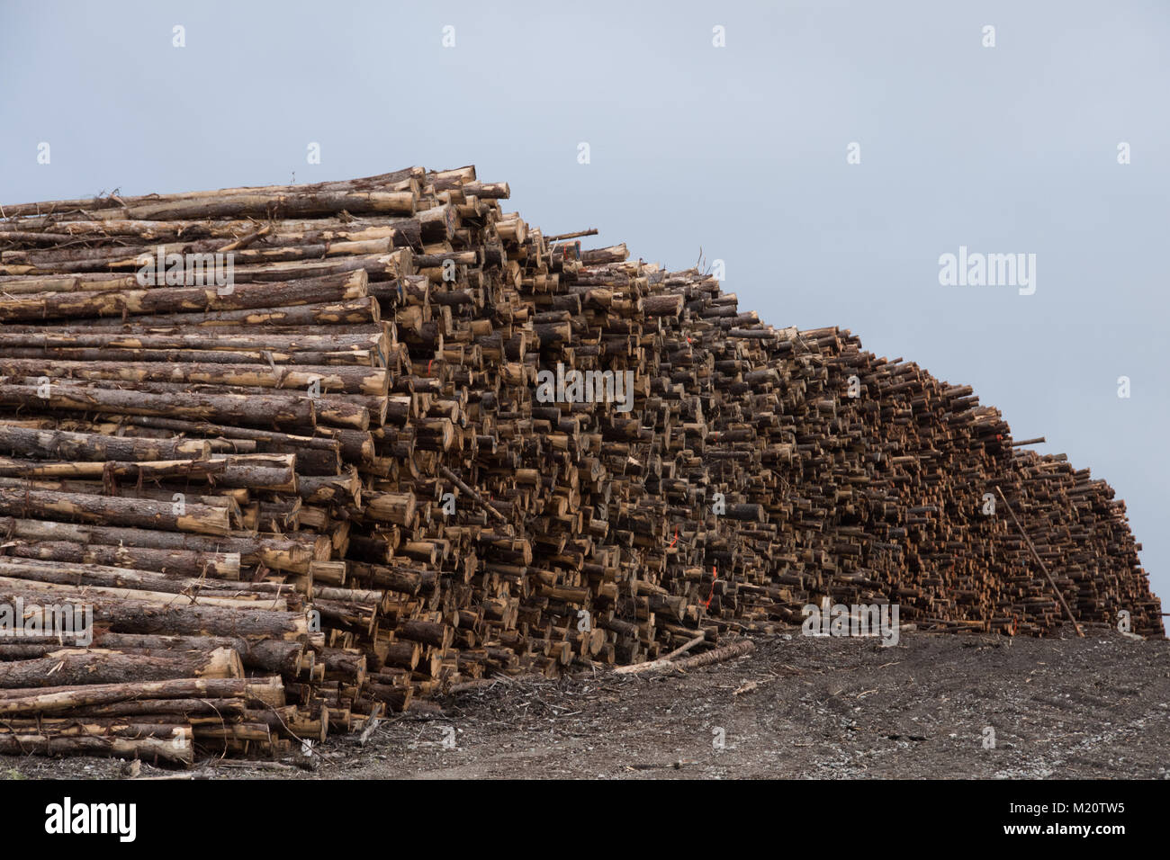 Tariffs canada hi-res stock photography and images - Alamy