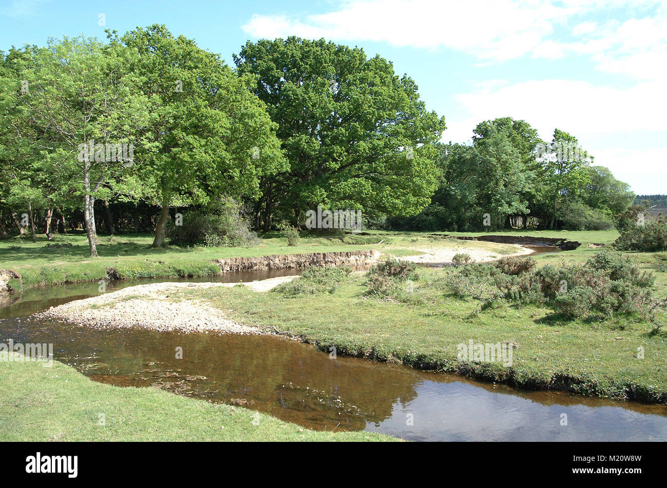 New Forest Stream, Hampshire, England Stock Photo - Alamy