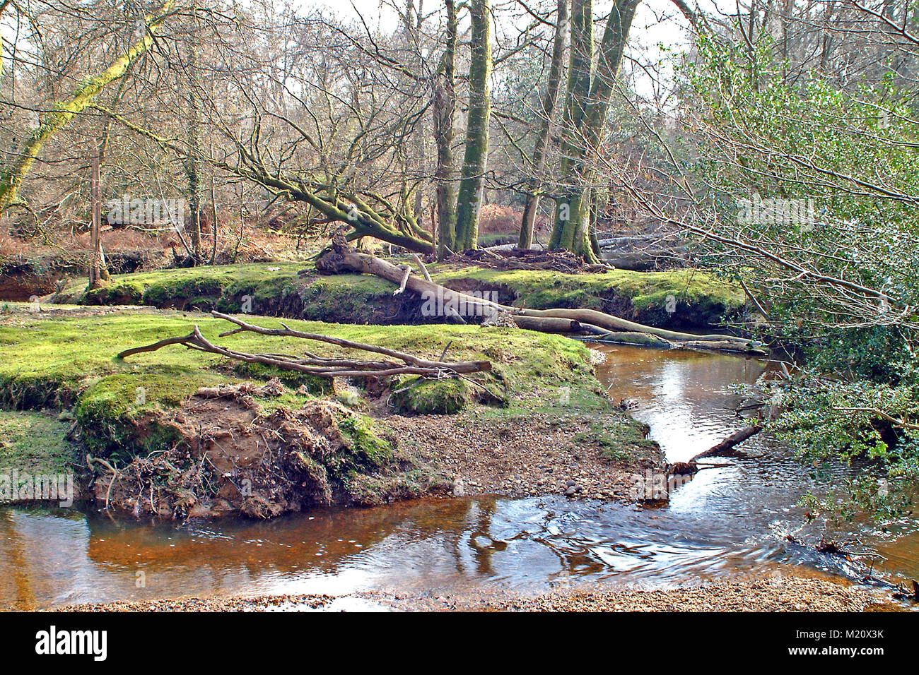 New forest water park uk hi-res stock photography and images - Alamy