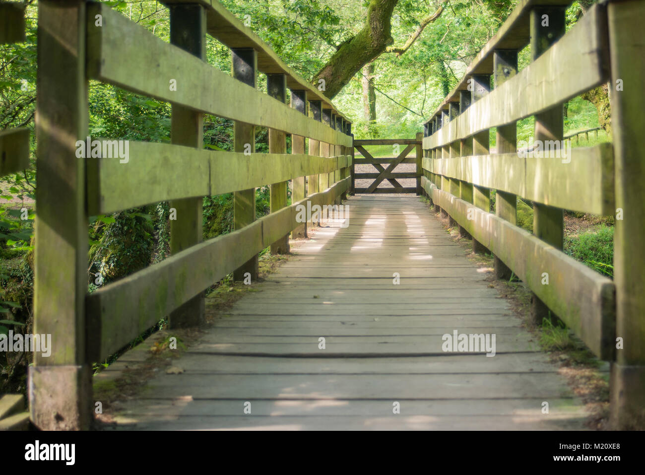 Bridge into woodland hi-res stock photography and images - Alamy
