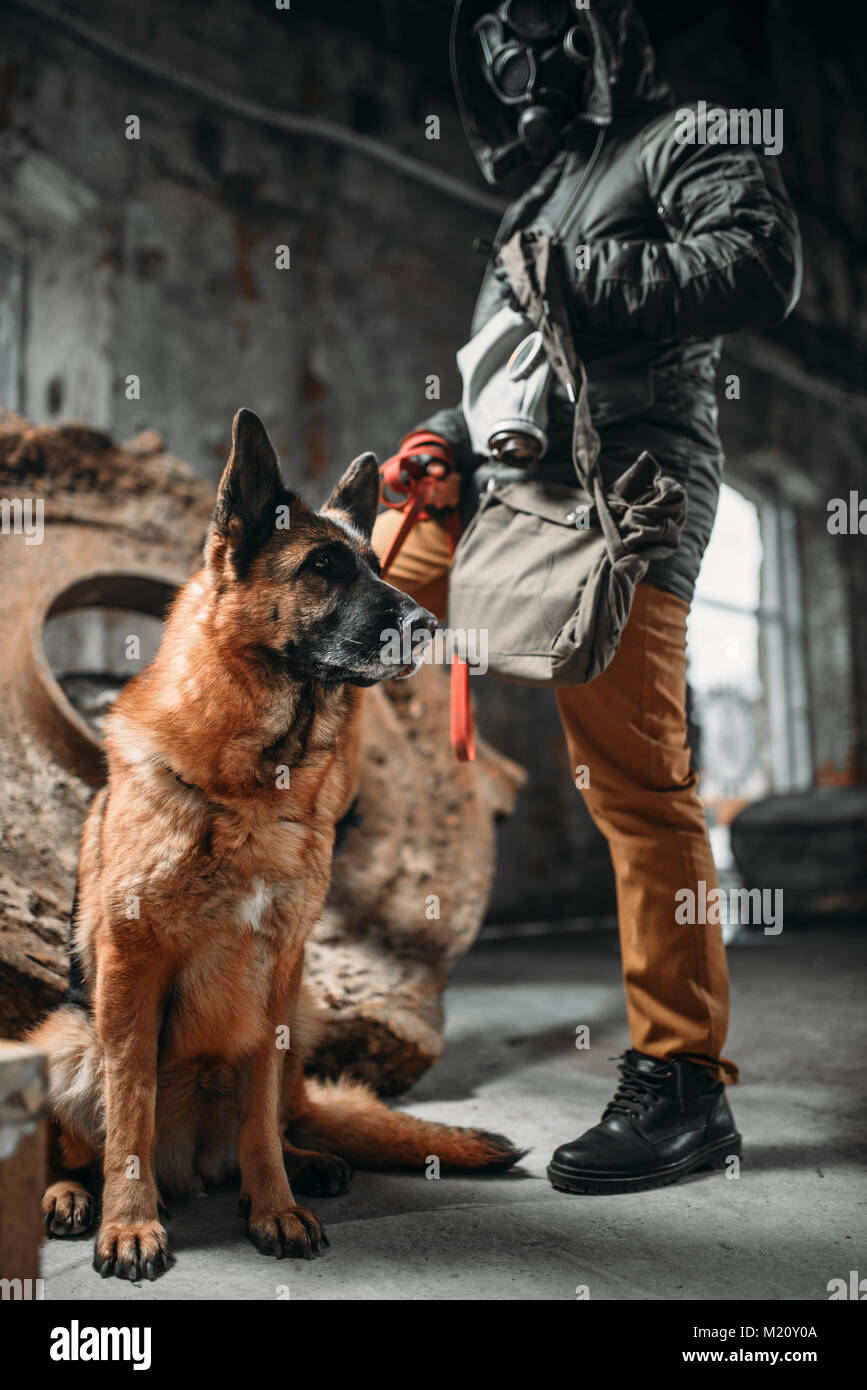 Stalker in gas mask and dog in ruins, survivors in danger zone after ...