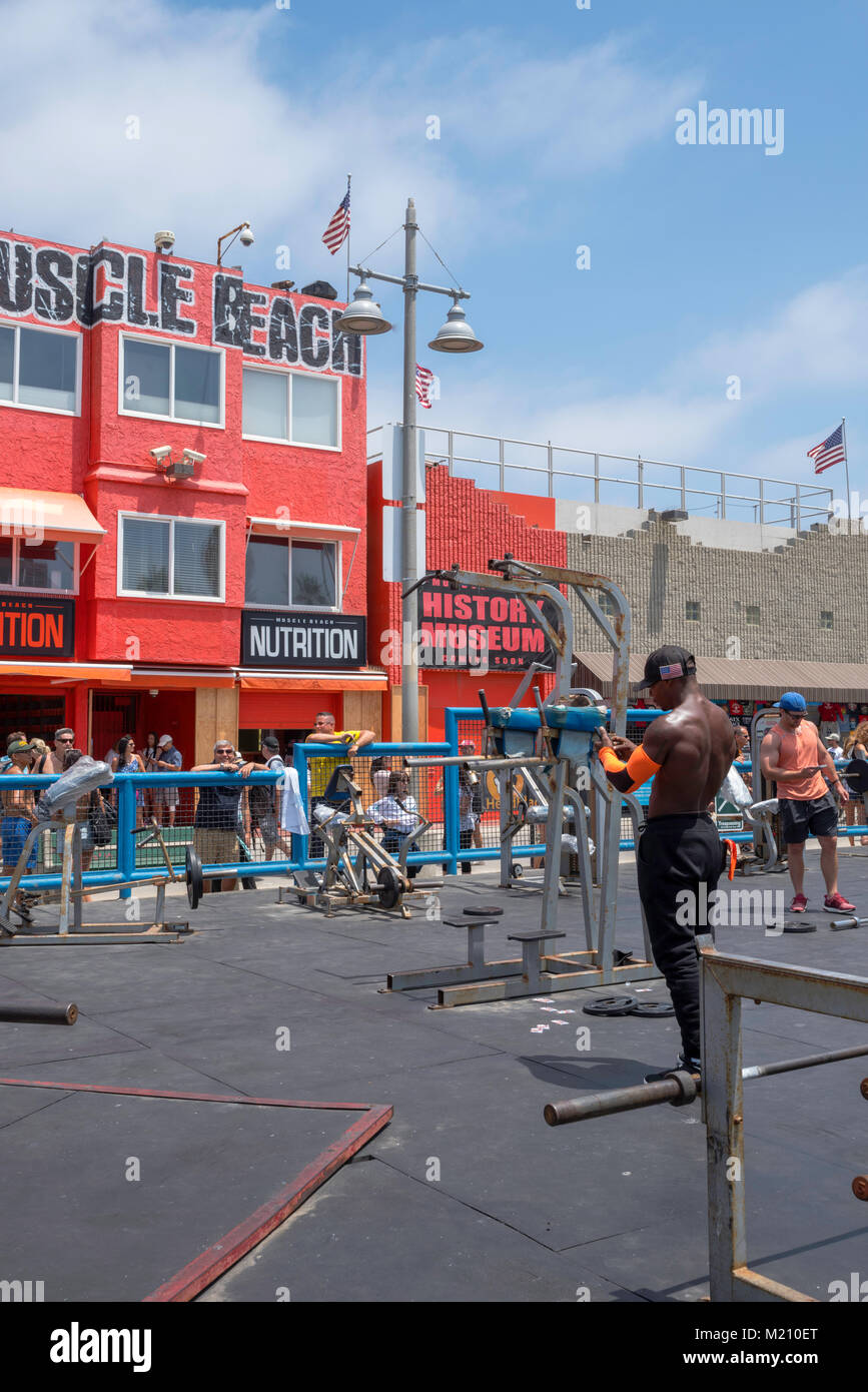 Famous muscle beach hi-res stock photography and images - Alamy