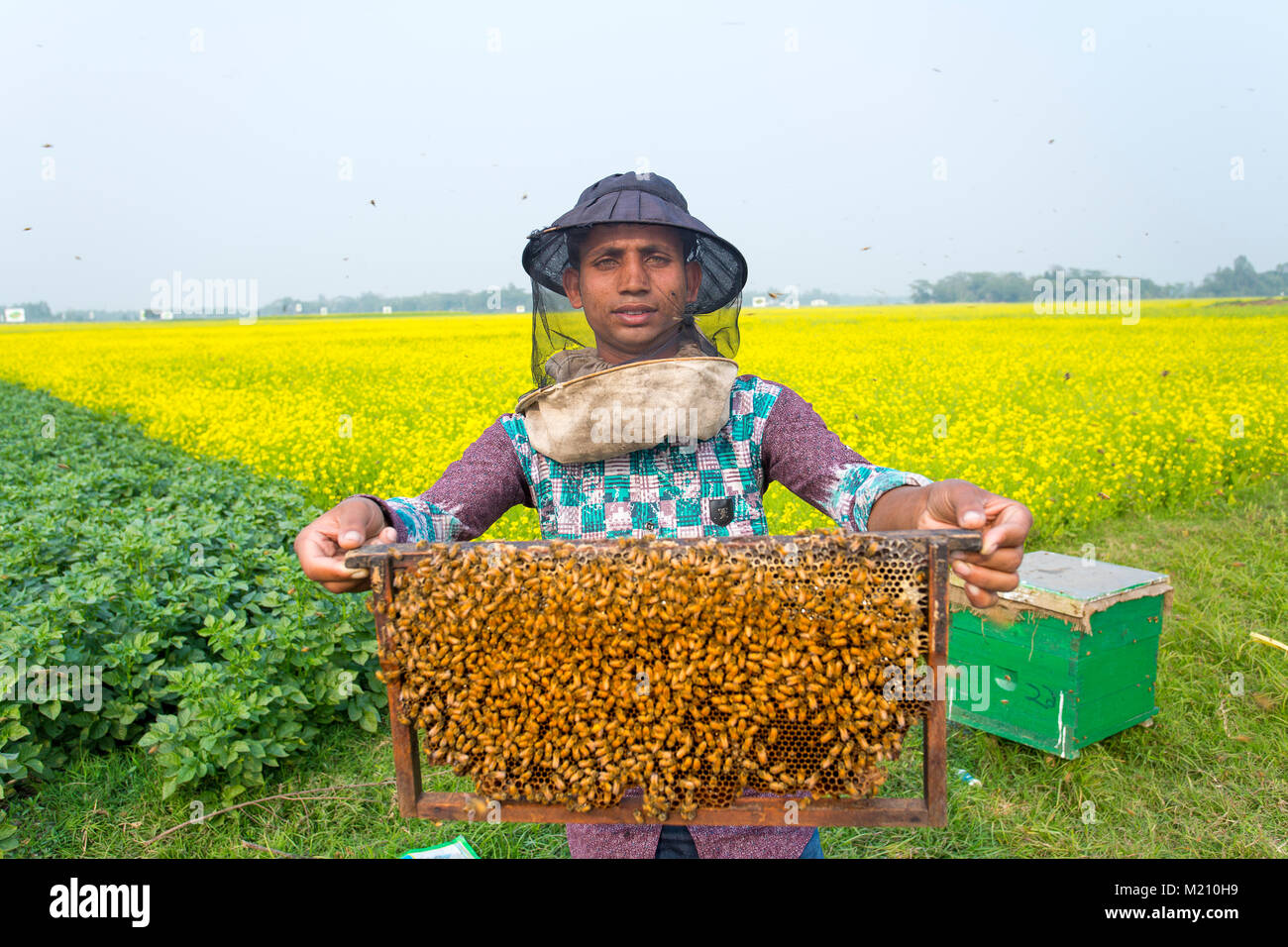 A honey collector showing honey basket close-up view at Munshigonj ...