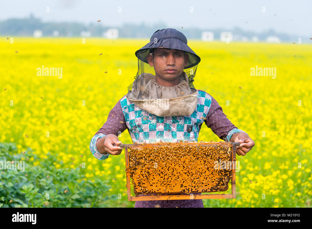 A honey collector showing honey basket close-up view at Munshigonj ...