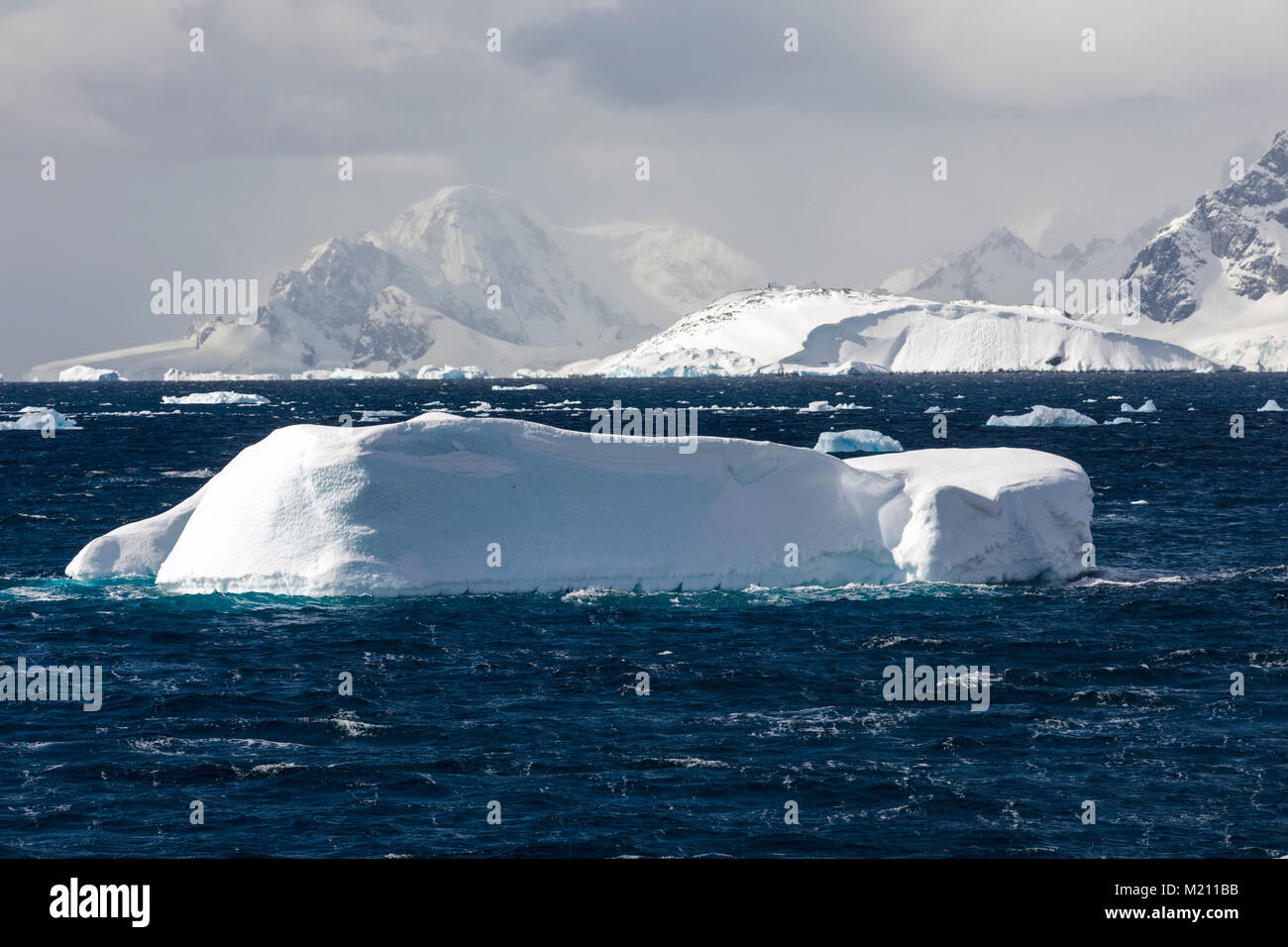 Anvers island hi-res stock photography and images - Alamy