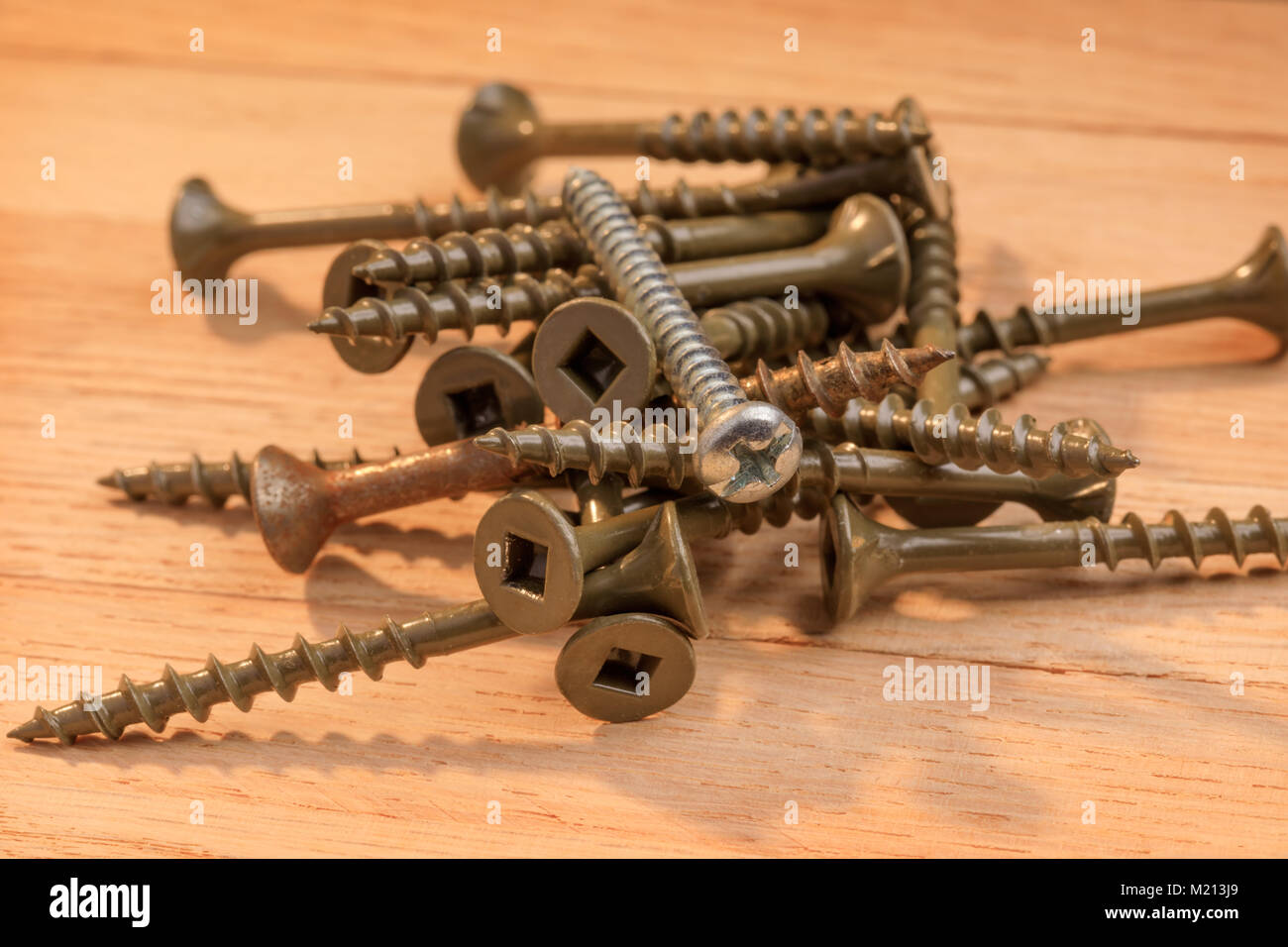 Screw that is installed up in place, along with other used screws in ...