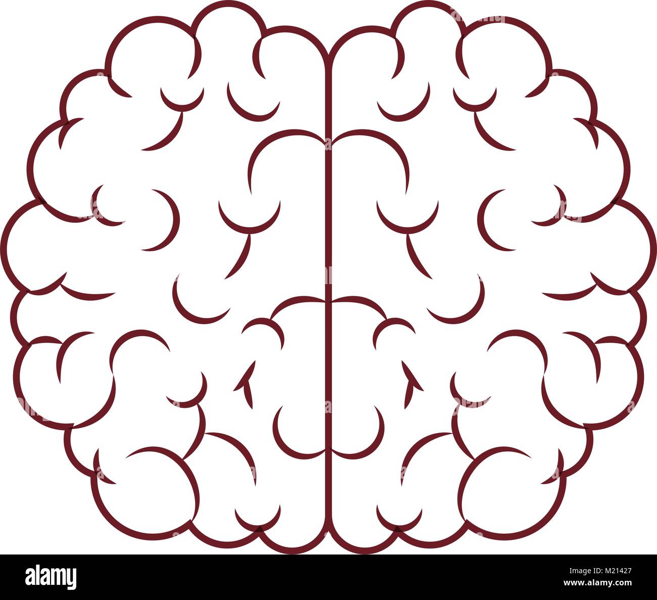 brain top view in thin dark red contour Stock Vector Image & Art - Alamy