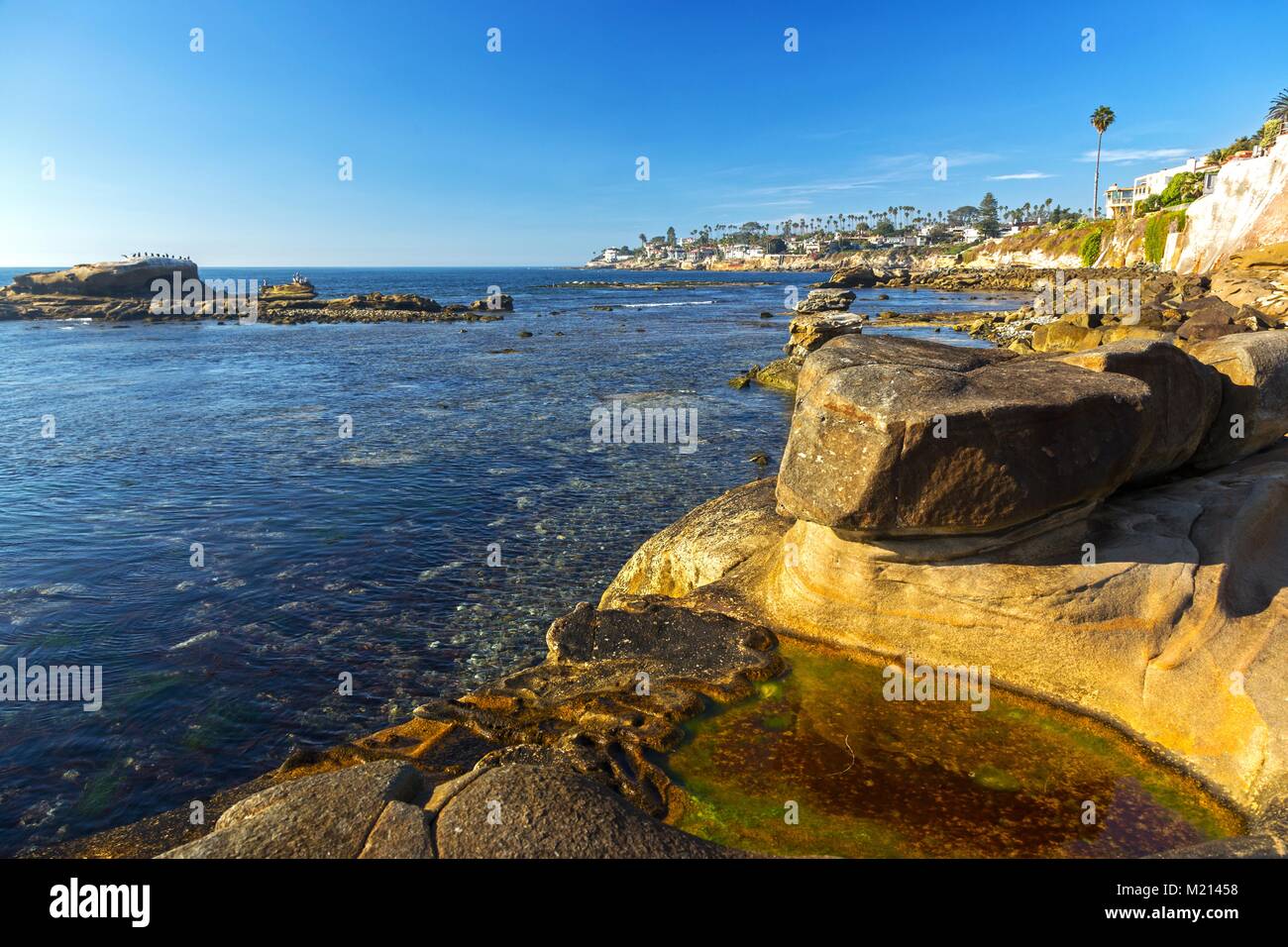 Bird Rock Southern California Coastline Landscape Pacific Ocean Beach ...