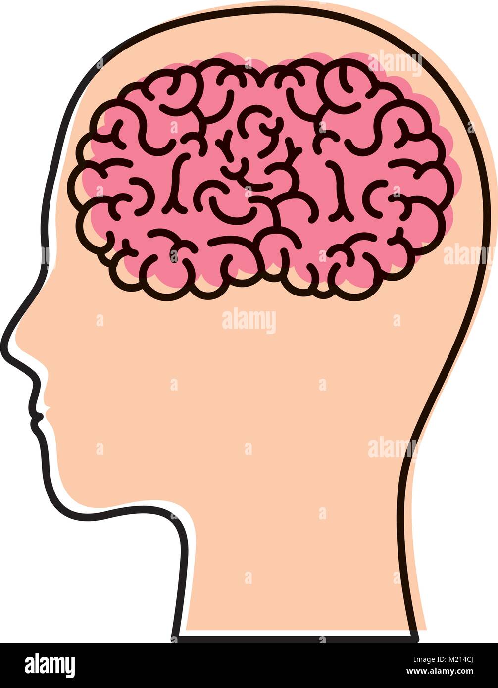 human face silhouette with brain inside in watercolor silhouette Stock ...