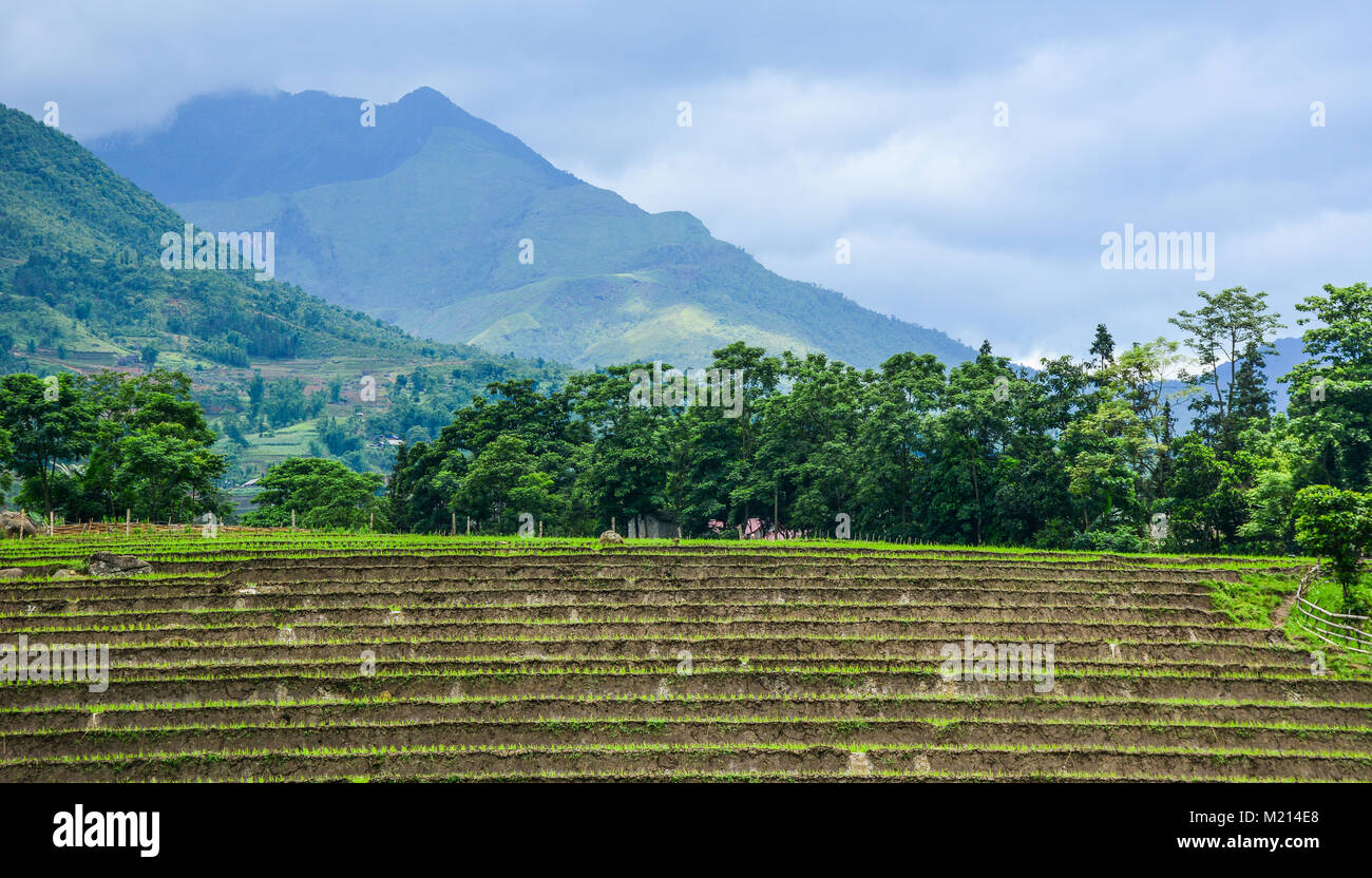 Mai Chau Field High Resolution Stock Photography and Images - Alamy