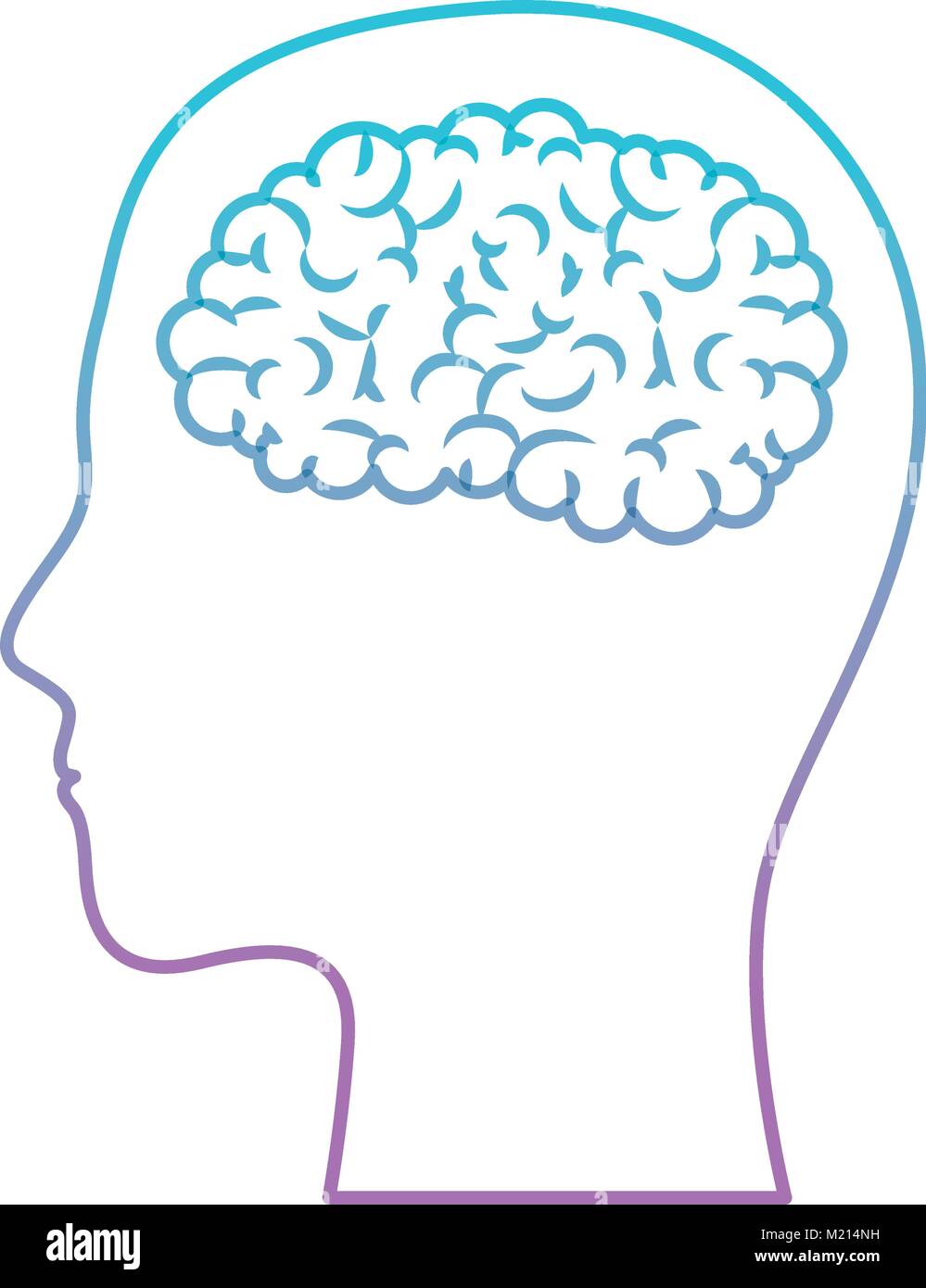 human face silhouette with brain inside in degraded blue to purple ...
