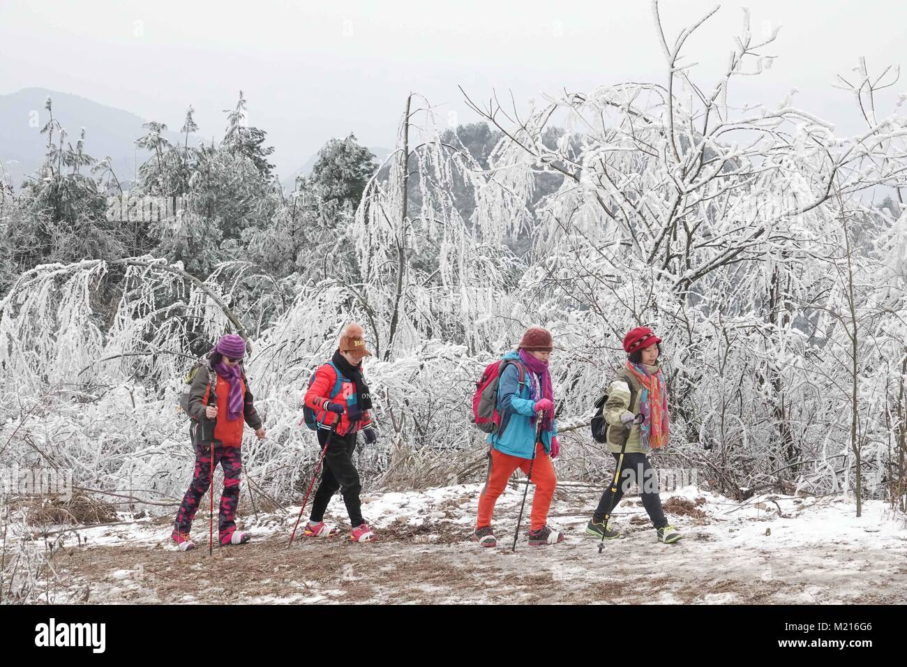 Guiyang, China's Guizhou Province. 3rd Feb, 2018. Tourists enjoy frost ...