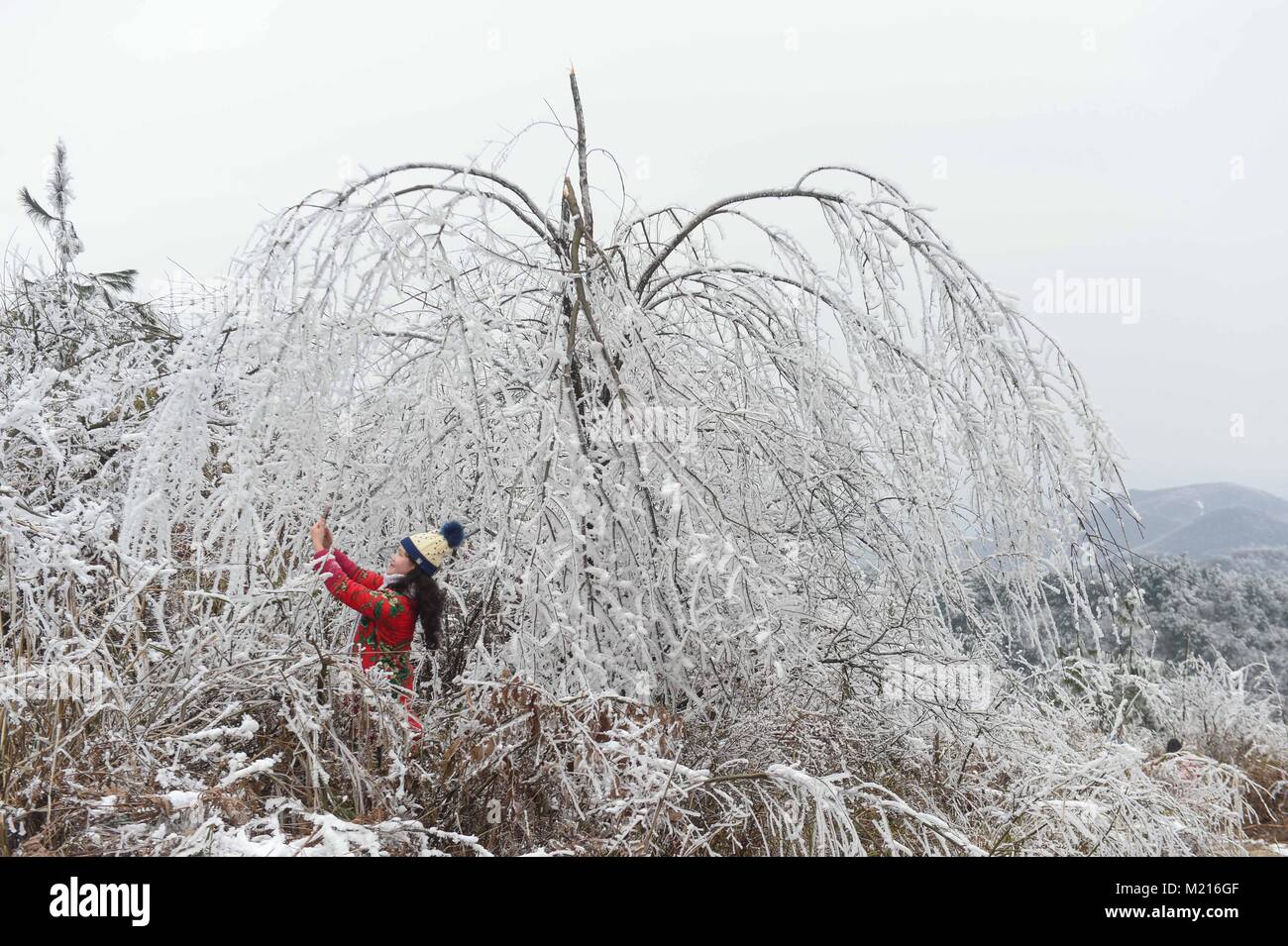 Guiyang, China's Guizhou Province. 3rd Feb, 2018. Tourists enjoy frost ...